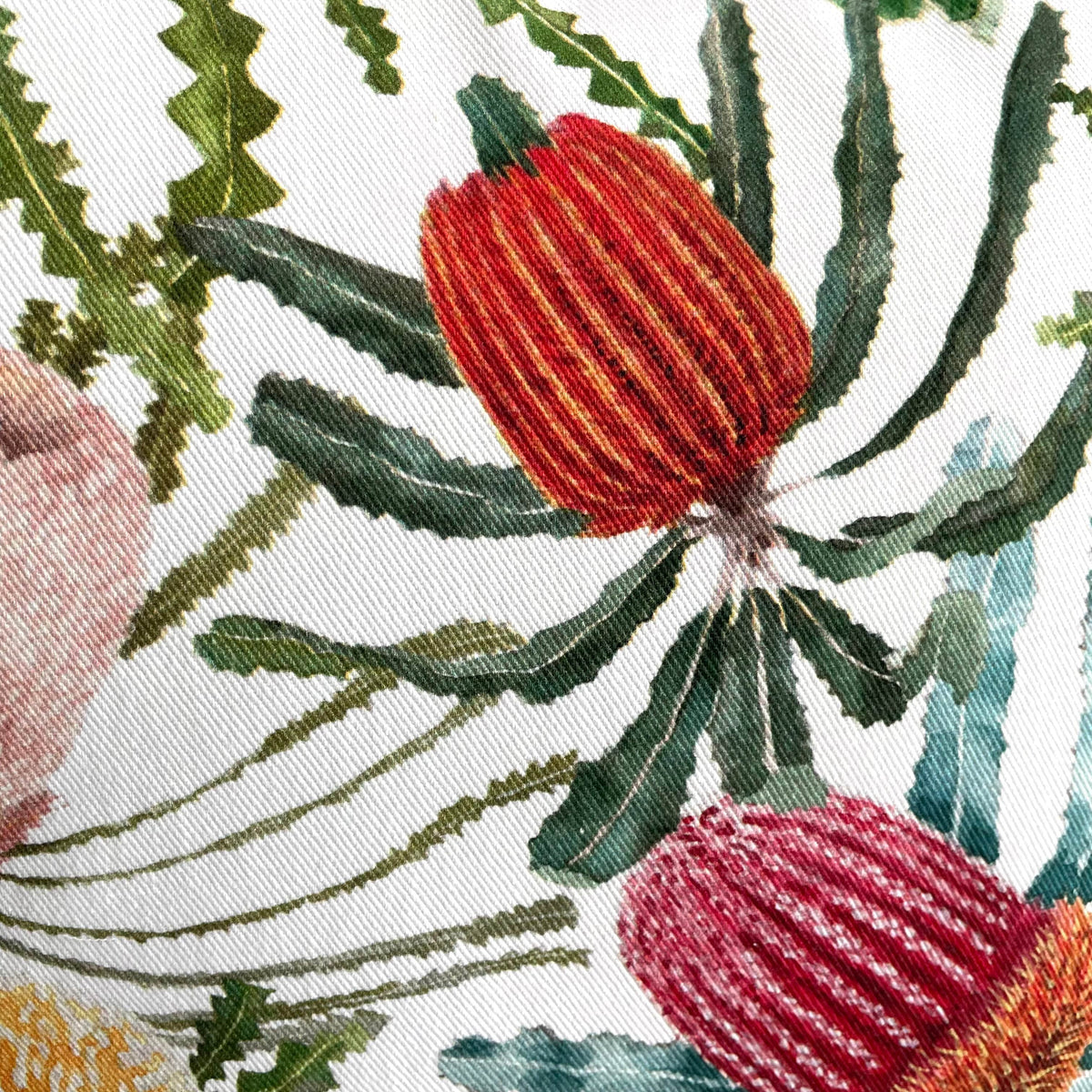 Banksia Cushion Cover | Australian Native Cushion | Made in Australia ...